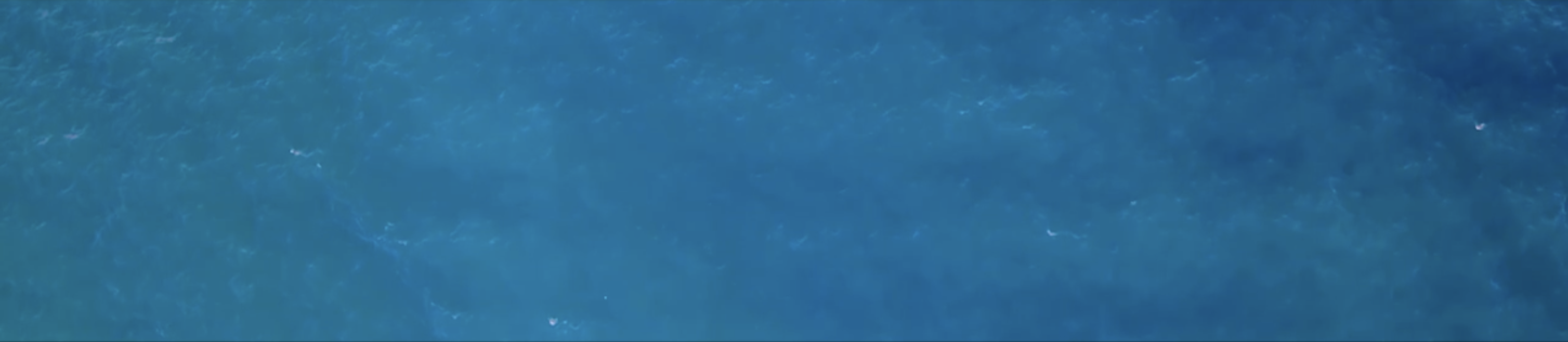 Oceanway